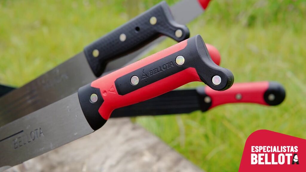 Ficha técnica de machete, desvelando su magia